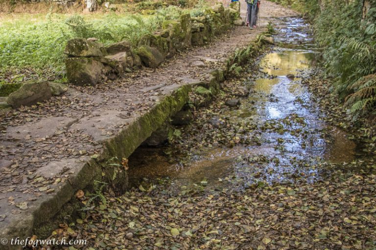 Sarria to Morgade - The Fog Watch